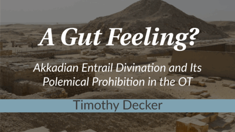 A Gut Feeling? Akkadian Entrail Divination and Its Polemical ...